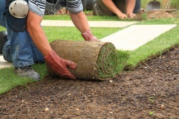 Professional Turf Installation & Laying with Buy Turf Online