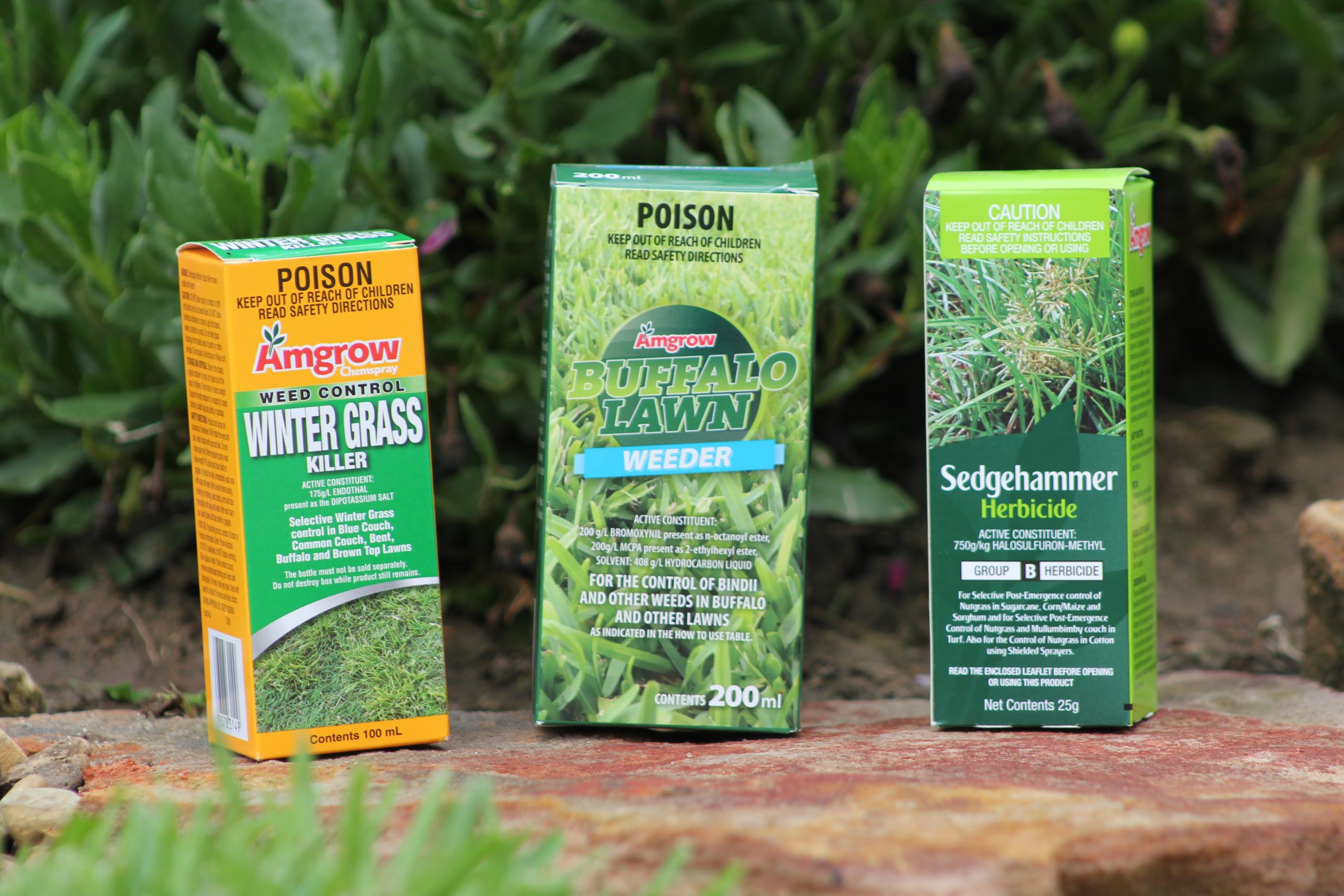 When is the Best Time to Weed and Feed Your Buffalo Lawn